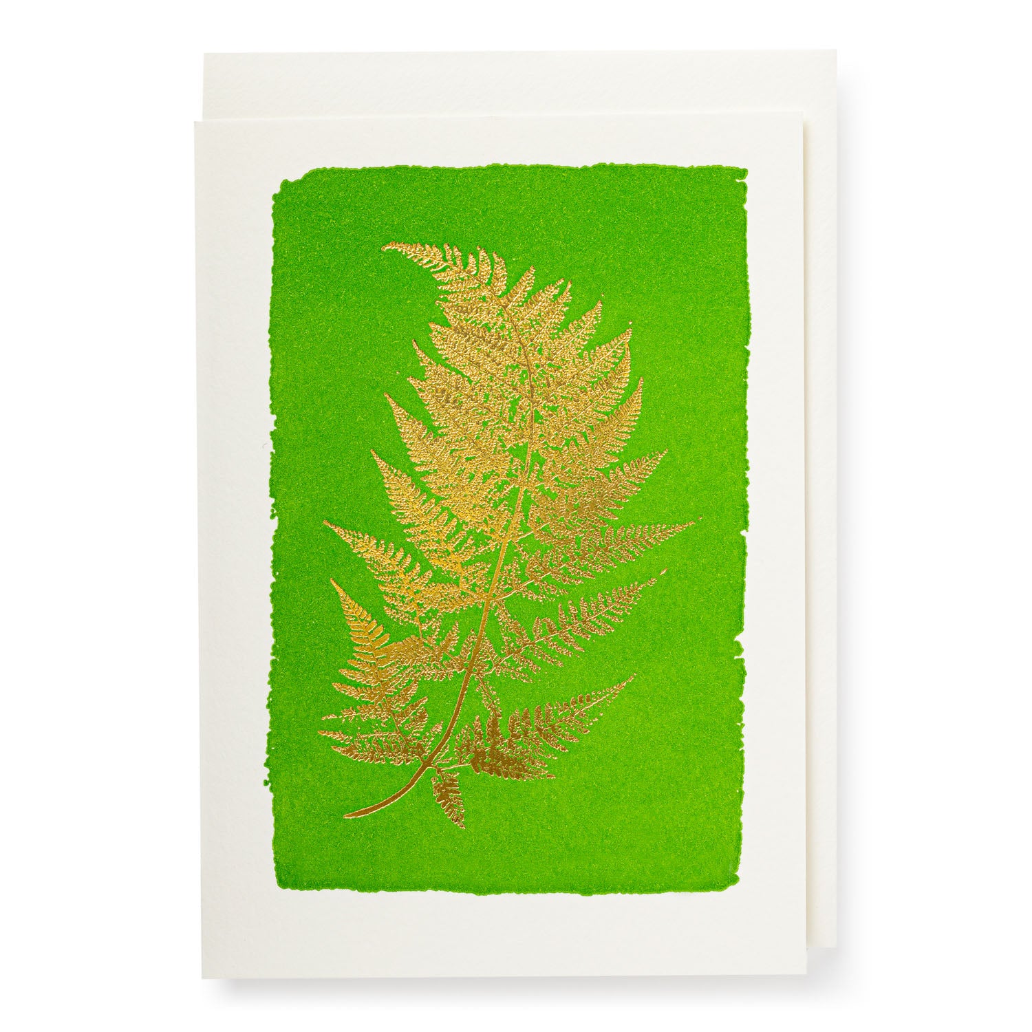 Fern Card – Stewart House