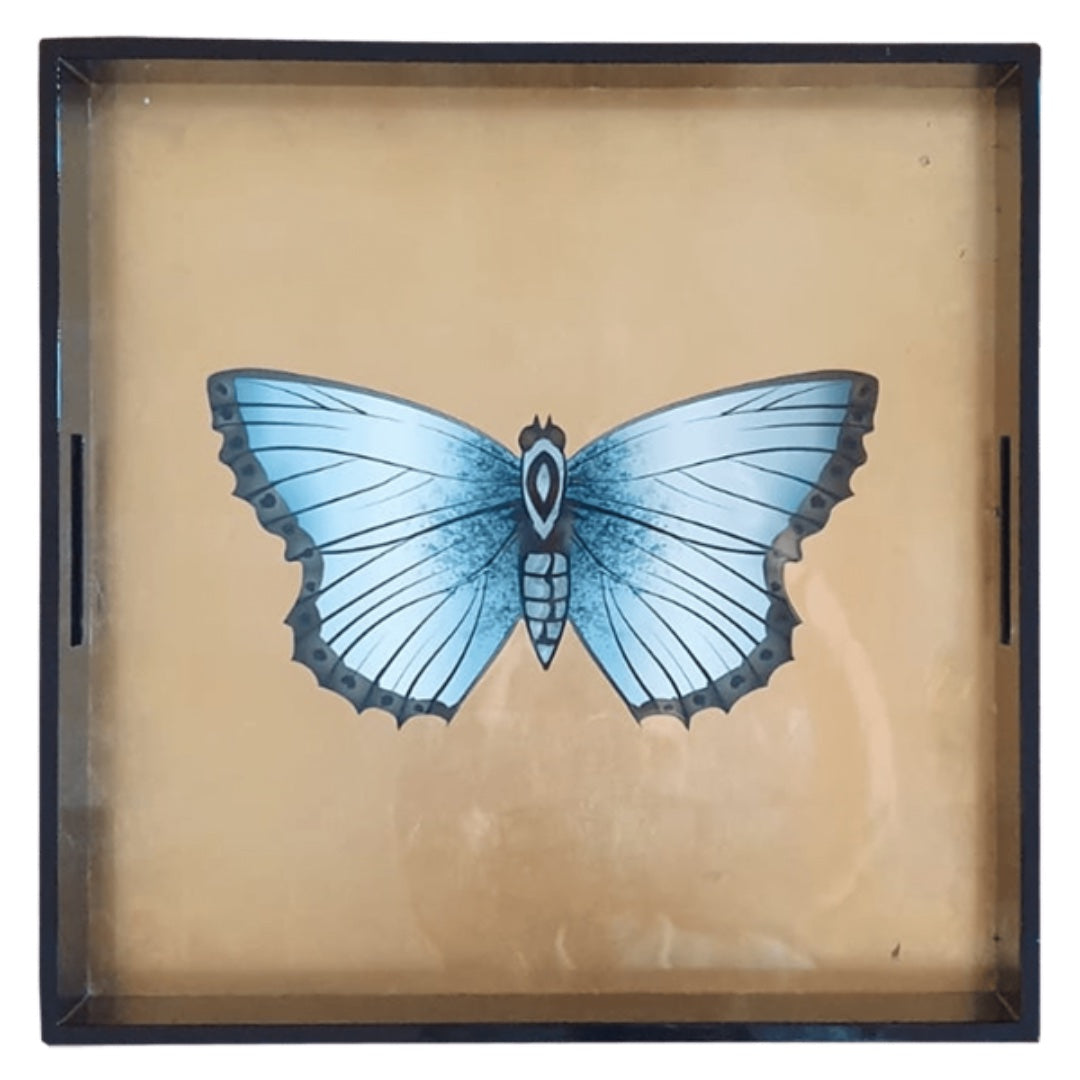 Lacquered Butterfly Tray – Stewart House