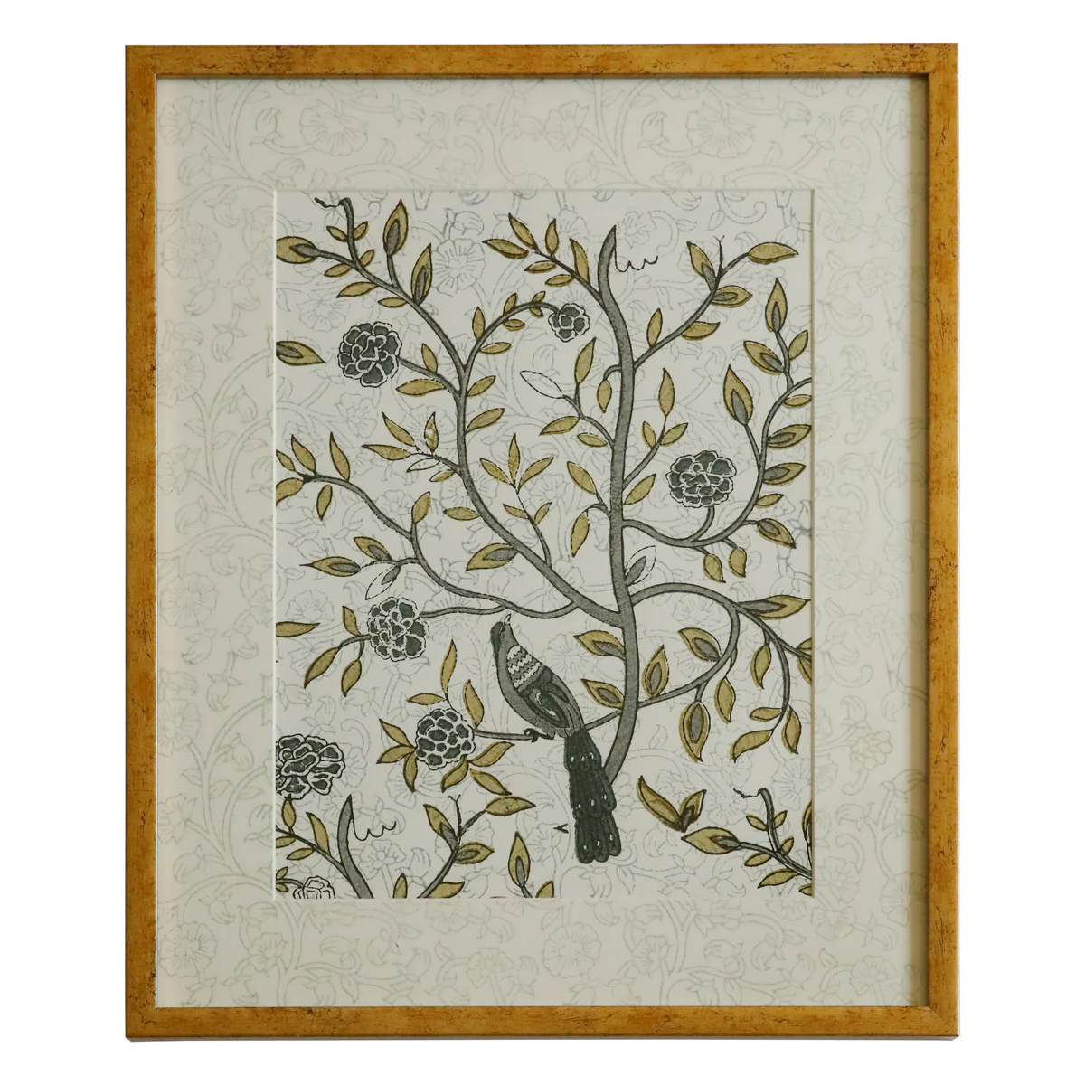 Ek Chiriya-1 – Stewart House