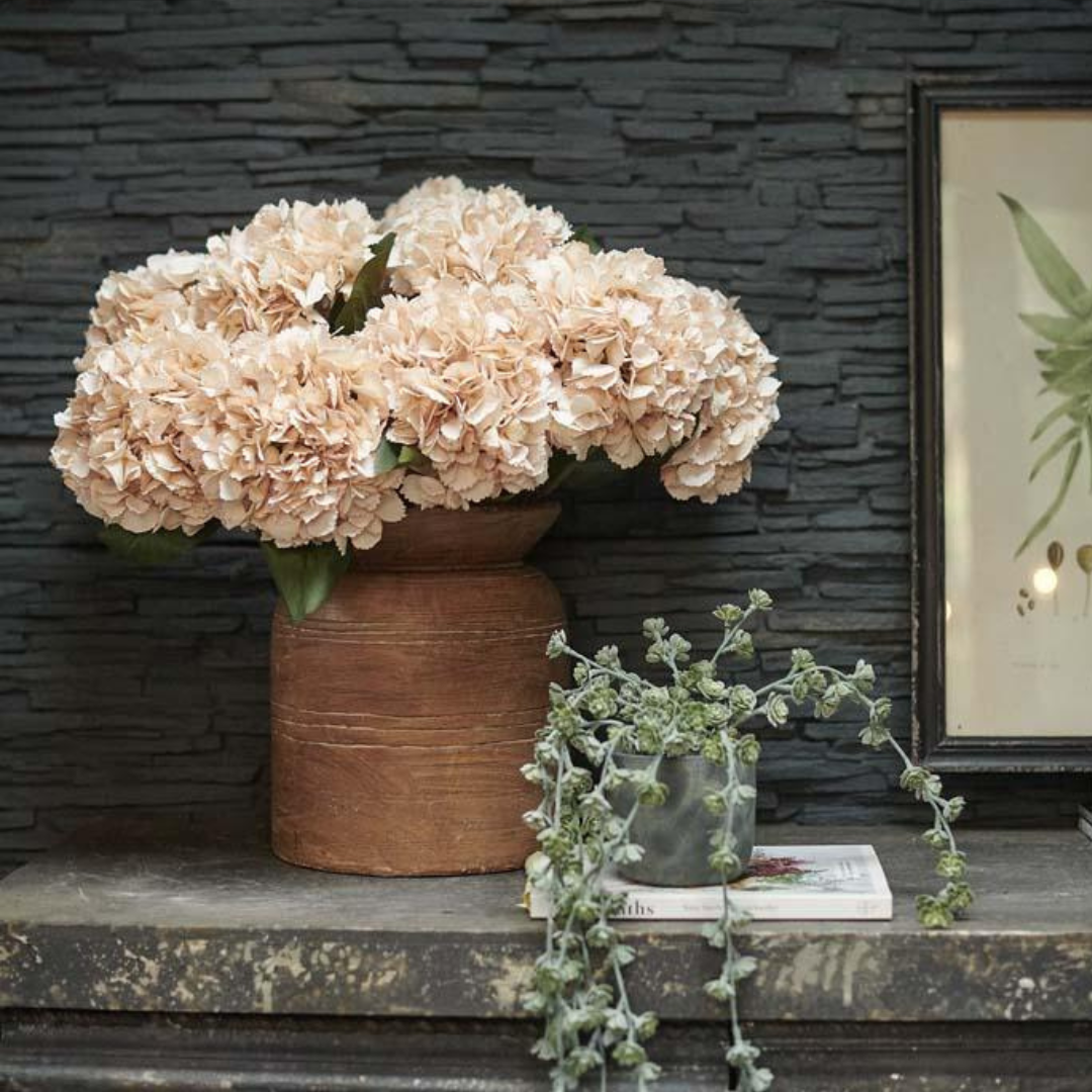 Hydrangea Vanilla Stem – Stewart House