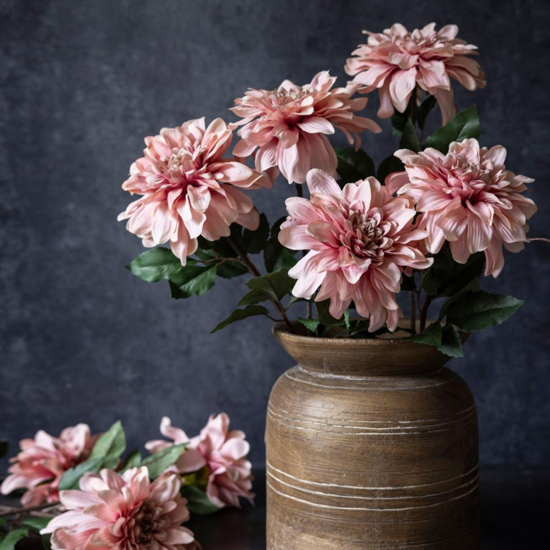Dahlia Flamingo – Stewart House