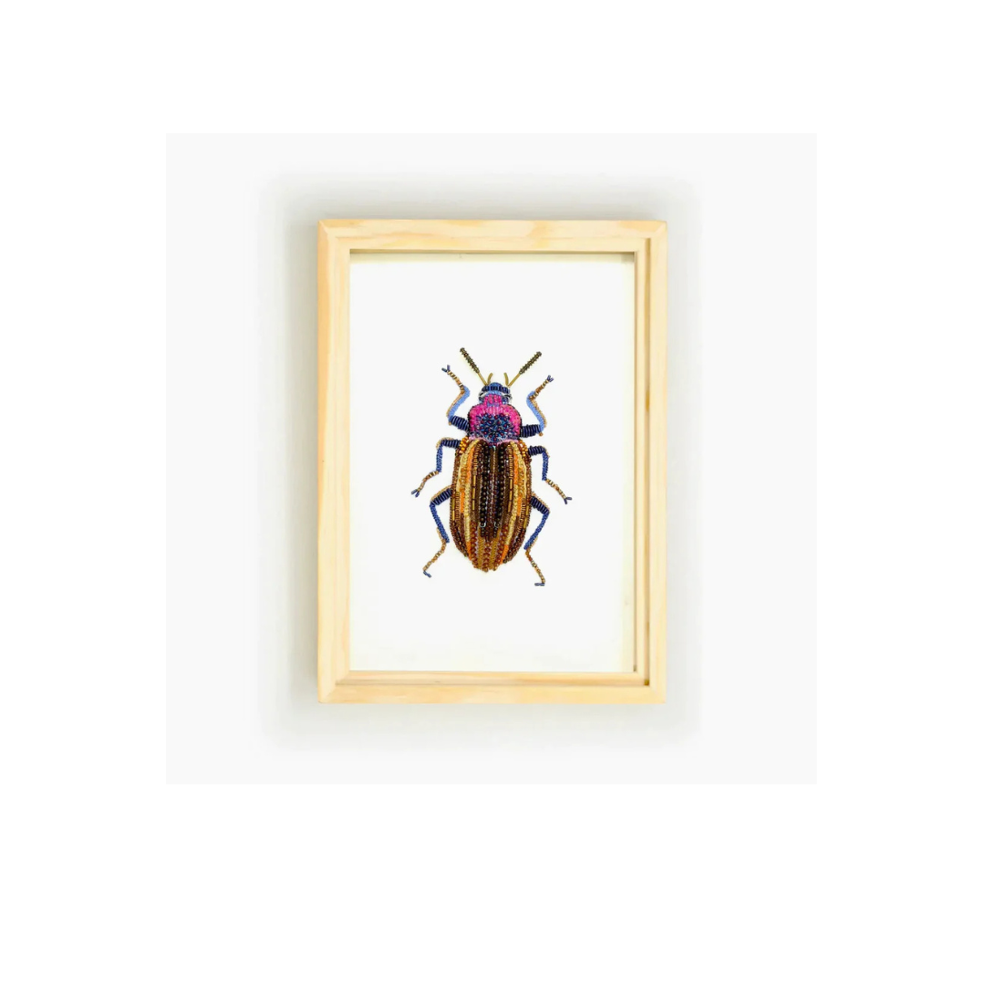 Eucyrtus Glorious Beetle – Stewart House